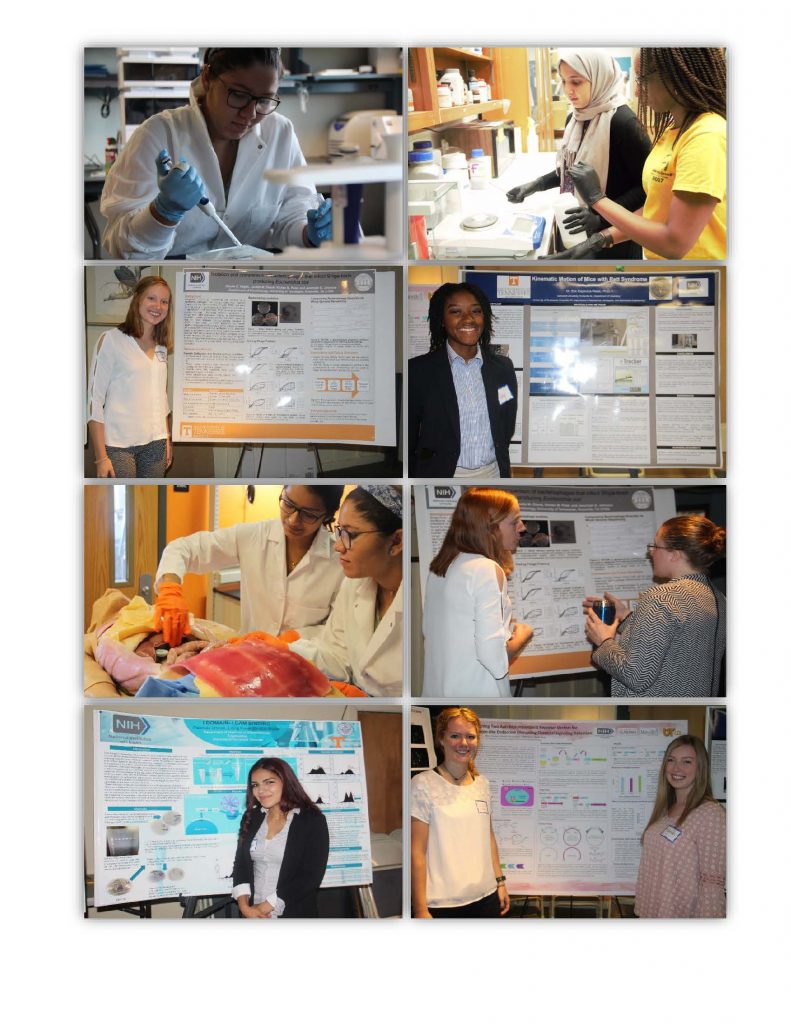 Program Overview | Undergraduate Research Experiences in the ...