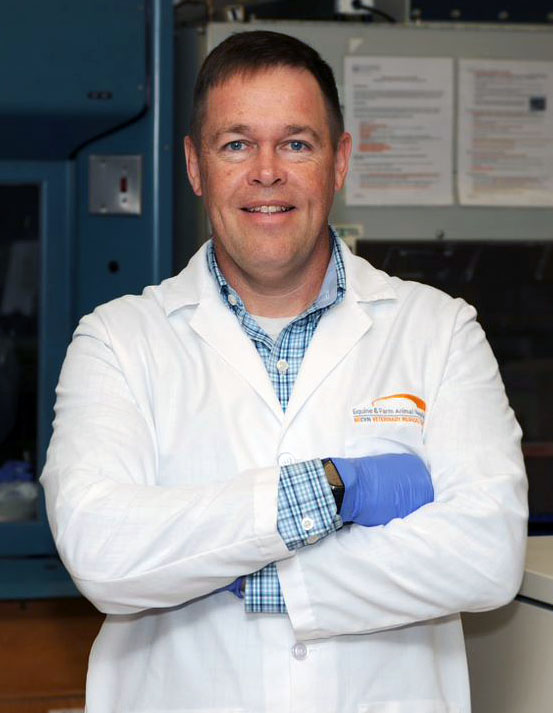 Research Mentors | Undergraduate Research Experiences in the ...